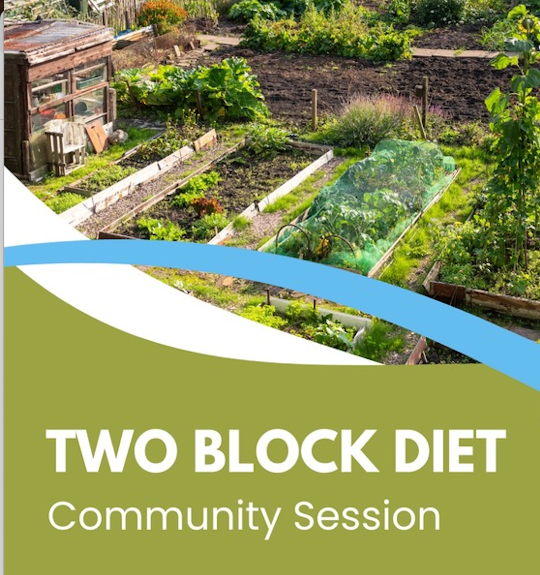 Two Block Diet | Simpli