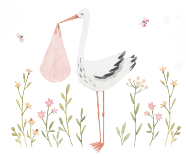 Sonia's Baby Shower | Simpli