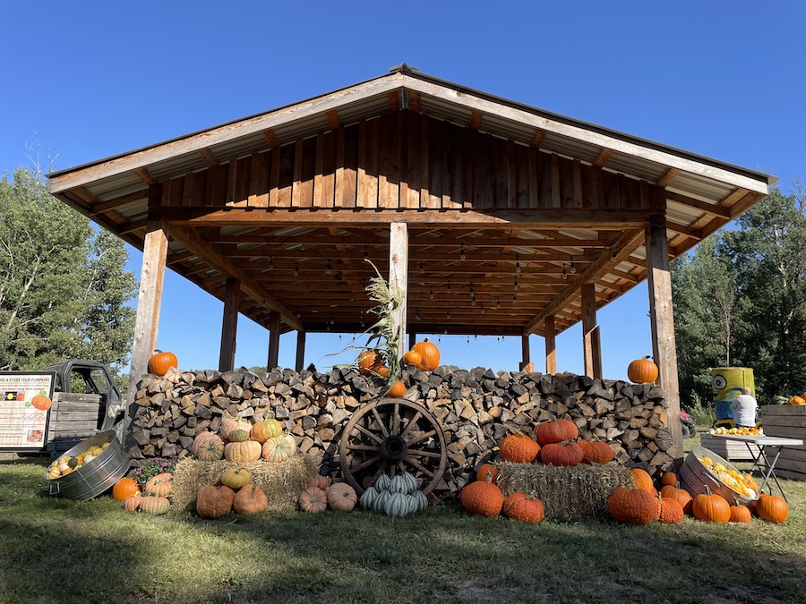 U-Pick Pumpkins - $25 per car plus fees | Simpli